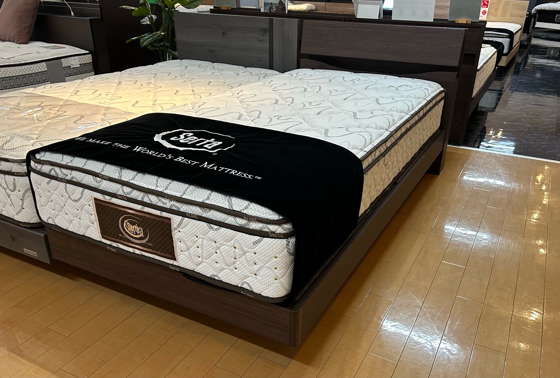 Serta(サータ）シングルベット ペディック 85GF - 店内アウトレット品 ｜ 家具・インテリアのNIMUS（ニームズ） 藤枝 掛川 静岡